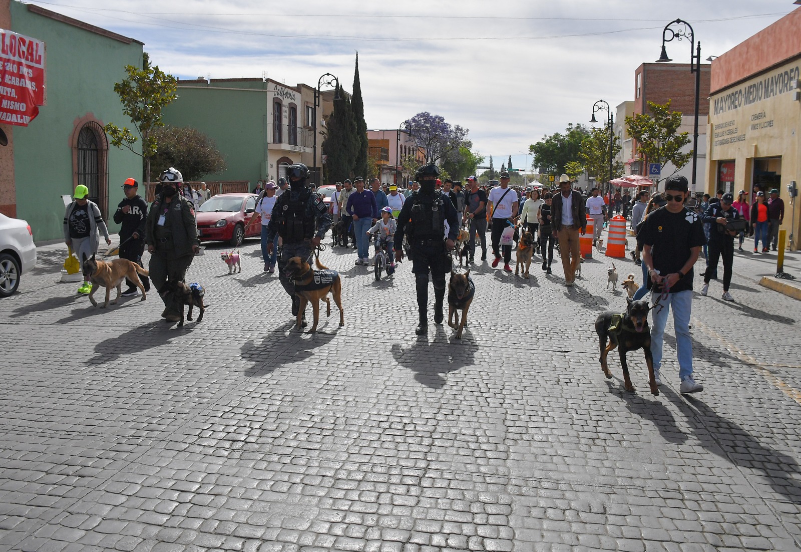 Participan perritos en Primera Can-inata de Guadalupe - NTR Zacatecas