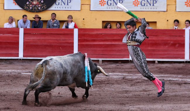 Buenas sensaciones, en plaza de toros San Marcos - NTR Zacatecas