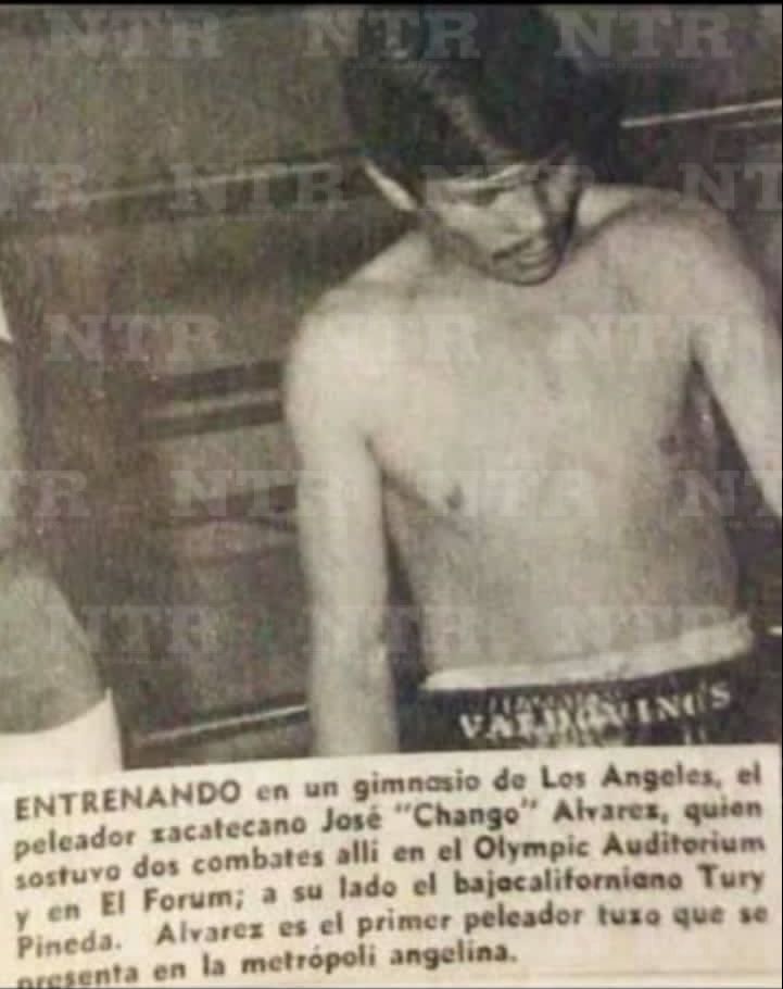José “El Chango” Álvarez, una leyenda del boxeo zacatecano - NTR Zacatecas