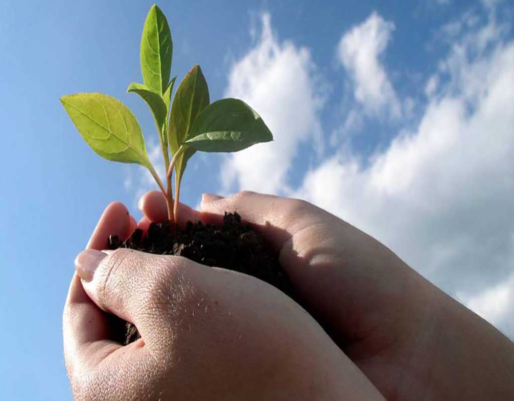 Necesario, crear conciencia del cuidado de la Tierra - NTR Zacatecas