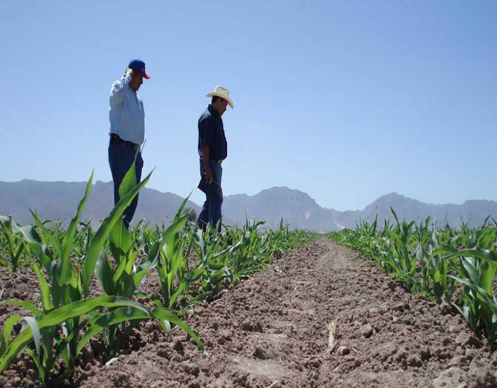 Obtiene Firco 10 mdp para proyectos zacatecanos - NTR Zacatecas