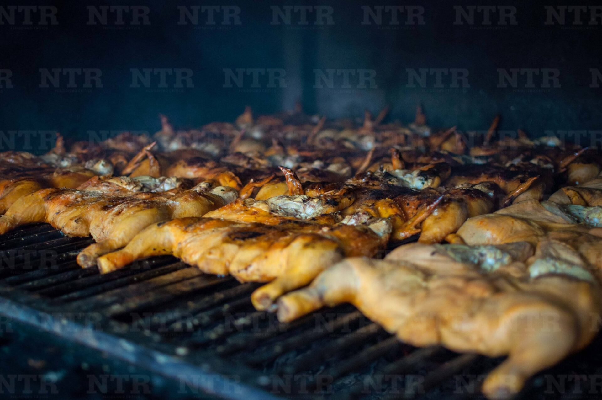 Pollo Kico, tradición que cautiva - NTR Zacatecas