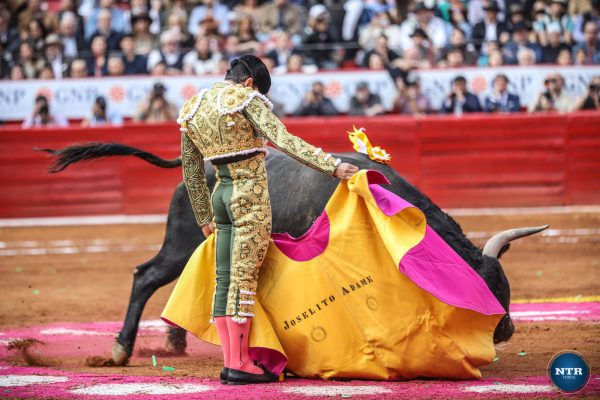 ¡Sí habrá toros en La México! - NTR Zacatecas