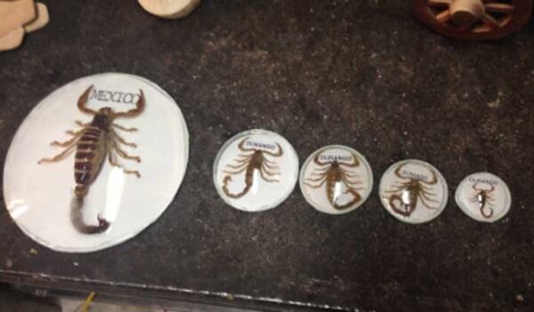 Artesanías con alacrán, parte de la identidad de Durango - NTR Zacatecas
