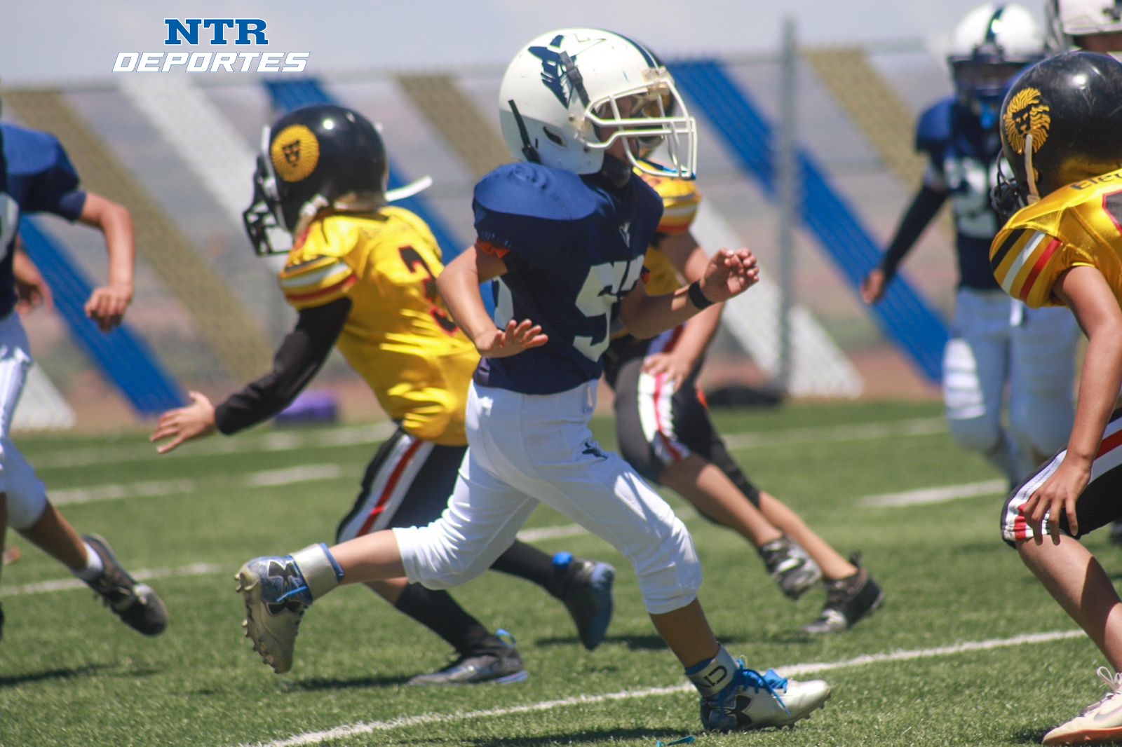 Forajido hace respetar su casa - NTR Zacatecas