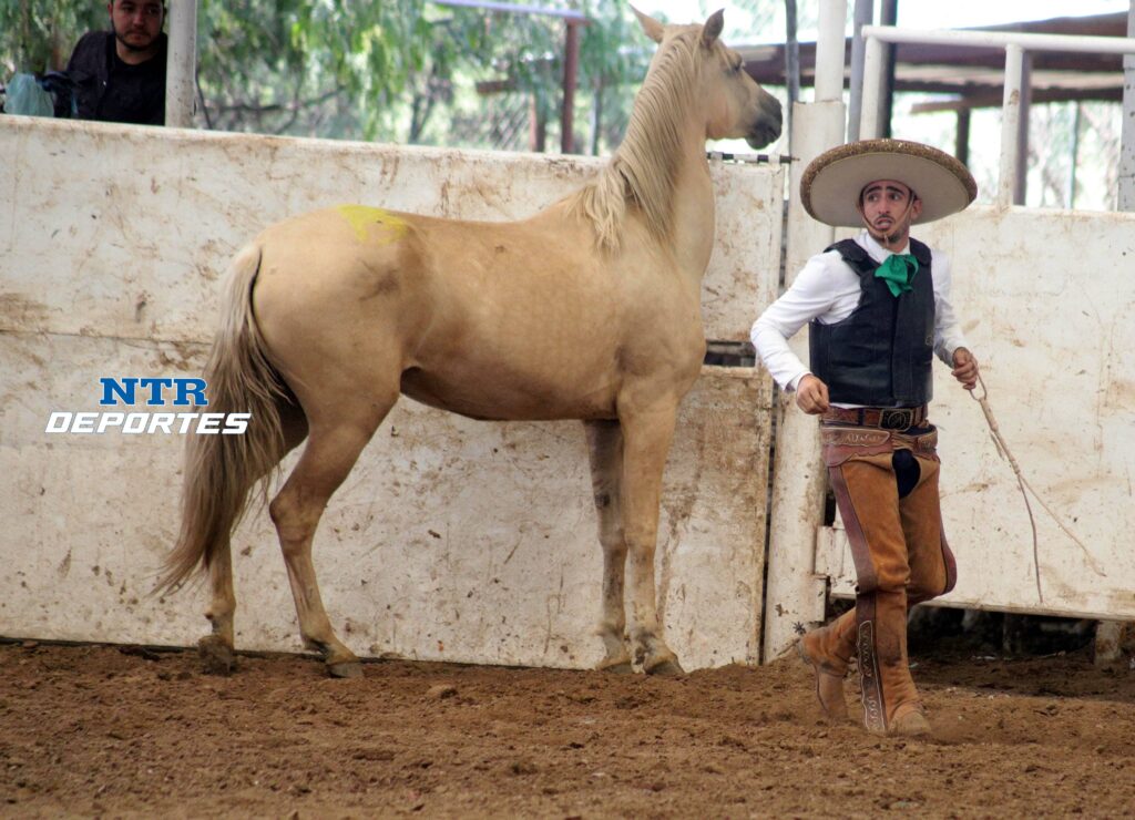 El Chiringas defiende su legado y avanza al Nacional - NTR Zacatecas