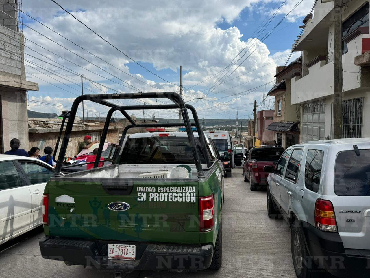 Muere mujer atacada por sus perros - NTR Zacatecas