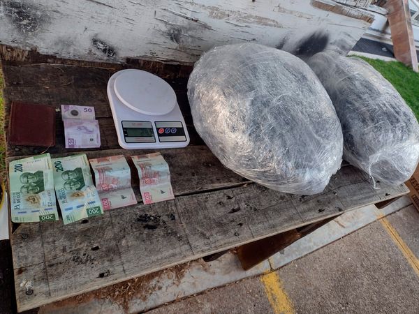 Aseguran casi 4 kilo de marihuana; hay un detenido - NTR Zacatecas