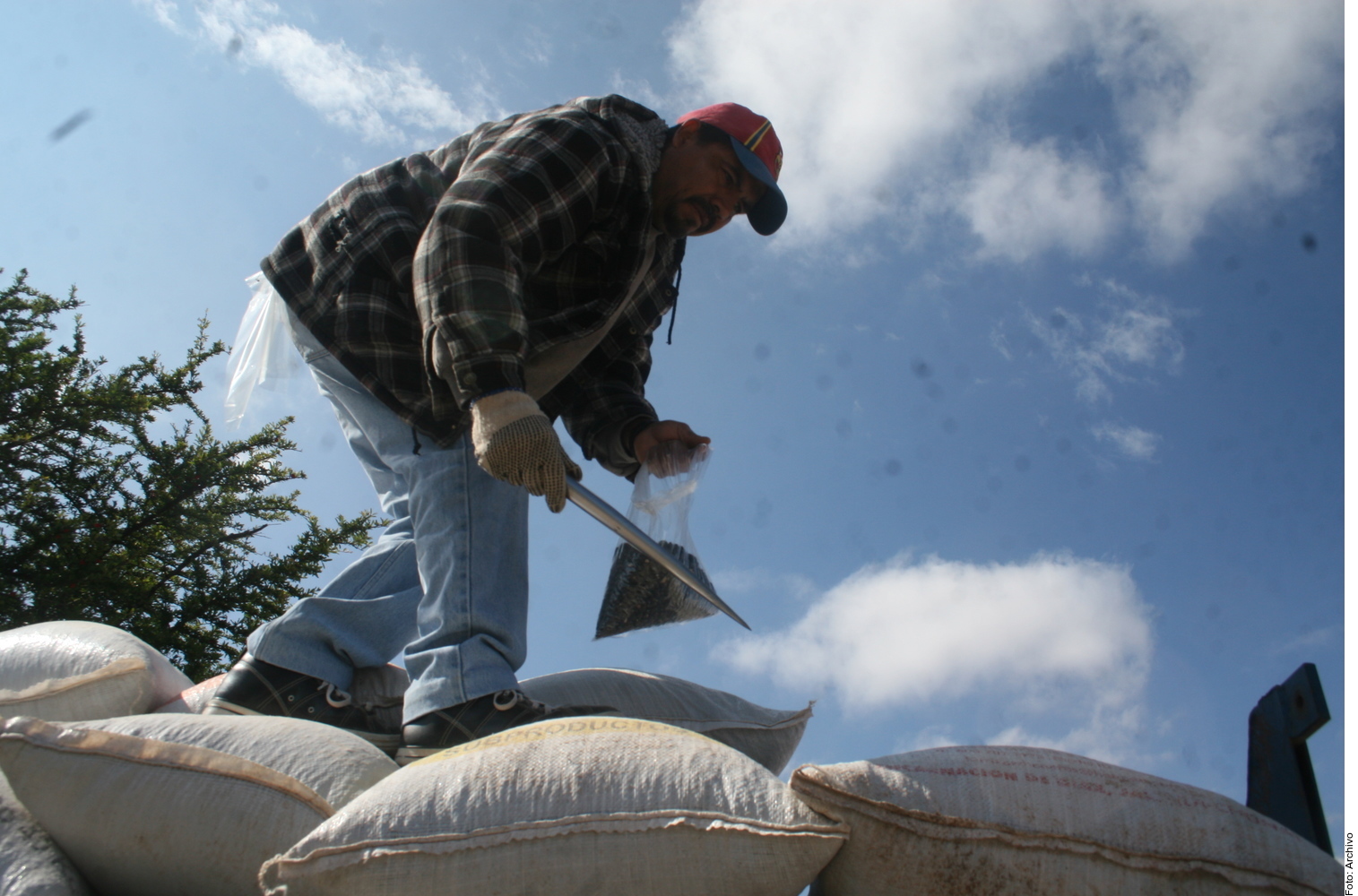 Zacatecas, sede de productora de semillas - NTR Zacatecas
