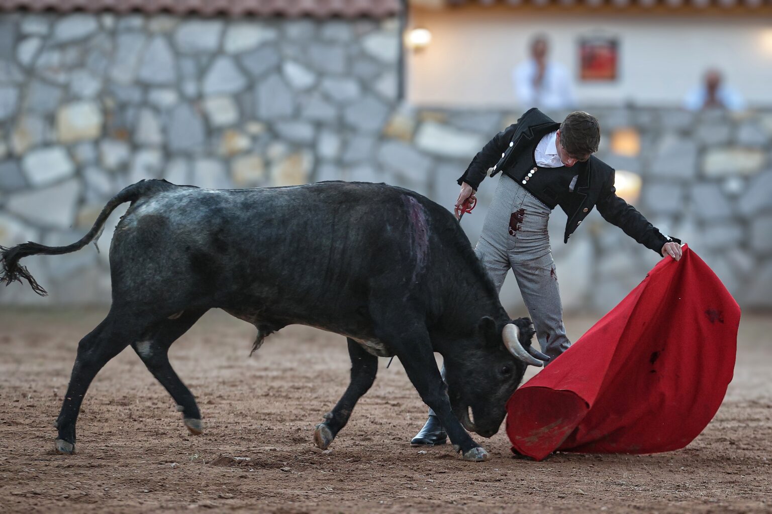 Javier Cuartero impacta en su presentación en México - NTR Zacatecas