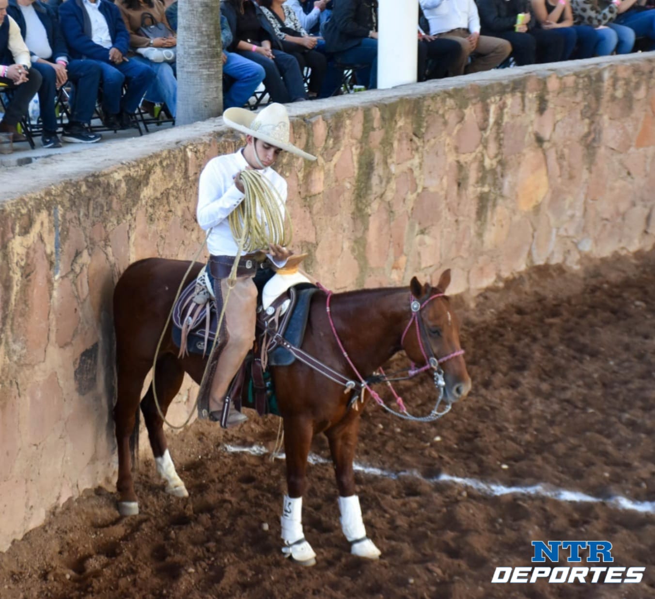 El Soyate deslumbra en Tlaltenango - NTR Zacatecas