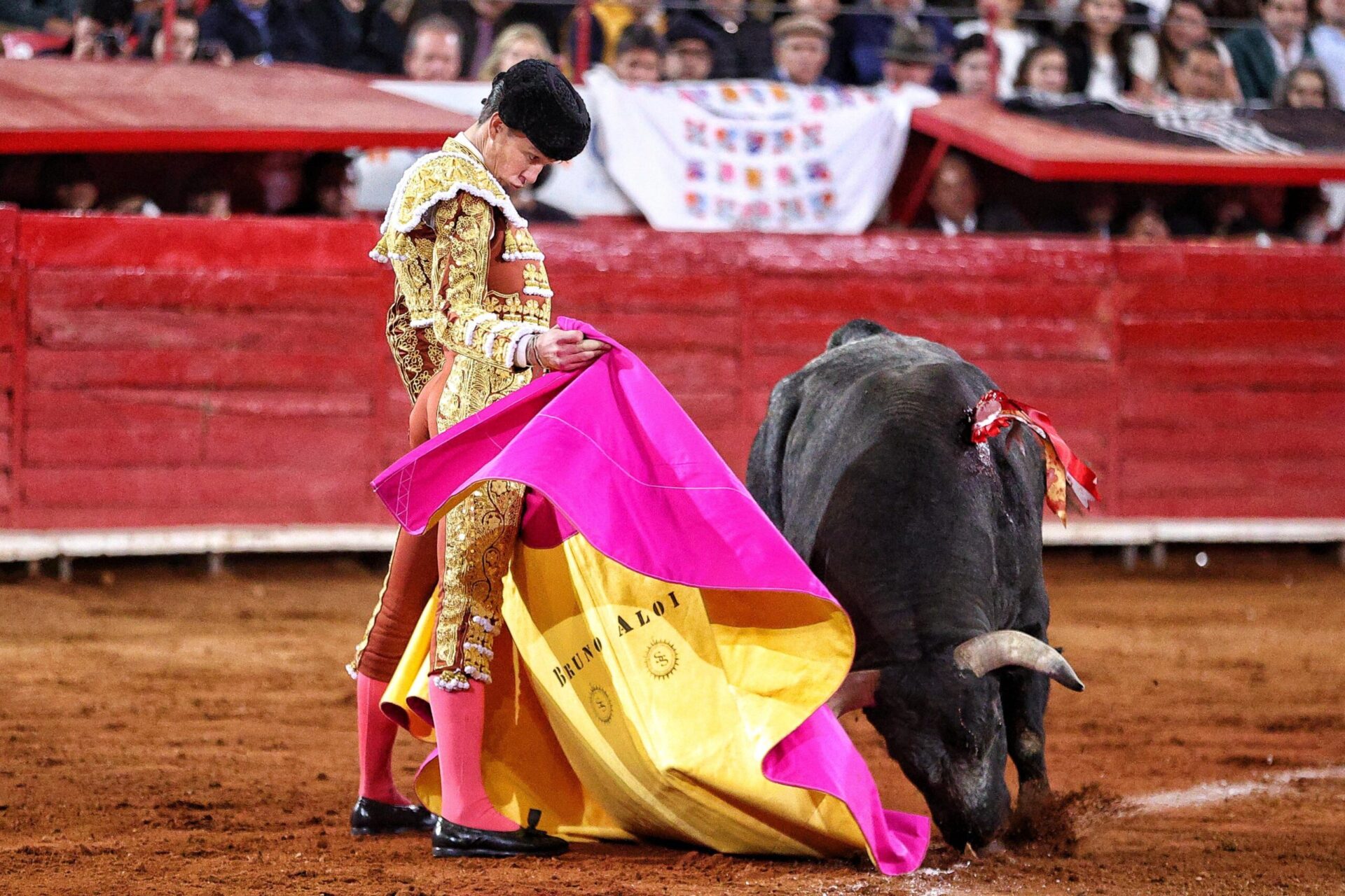 Bruno Aloi, a punto para Aguascalientes - NTR Zacatecas