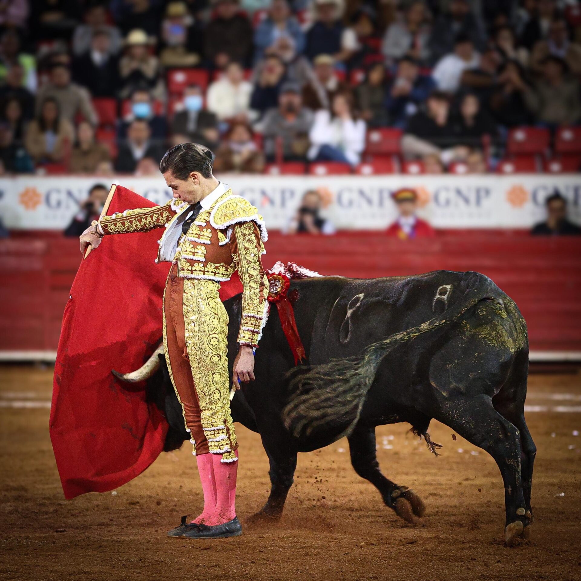 Cuaja Bruno una gran faena en la Plaza México - NTR Zacatecas
