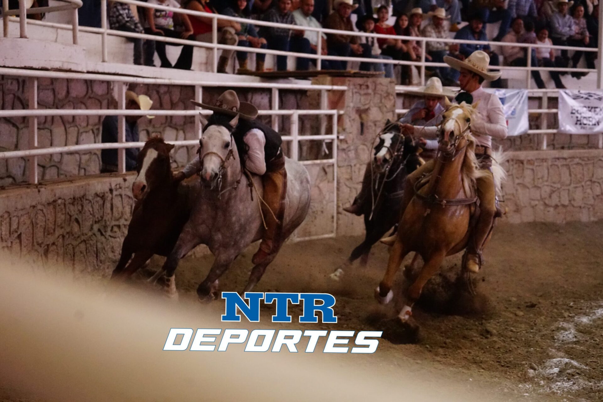 El Soyate se adueña de La Colonial - NTR Zacatecas