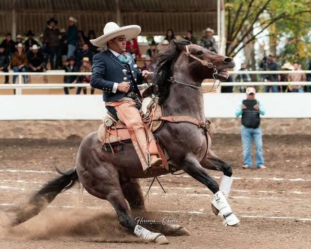 Soyate triunfa en la 4ta fase del Circuito Profesional de Charrería ...