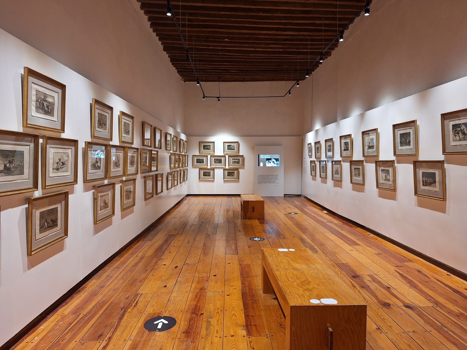 Universo de Pedro Coronel, los tesoros de un museo - NTR Zacatecas