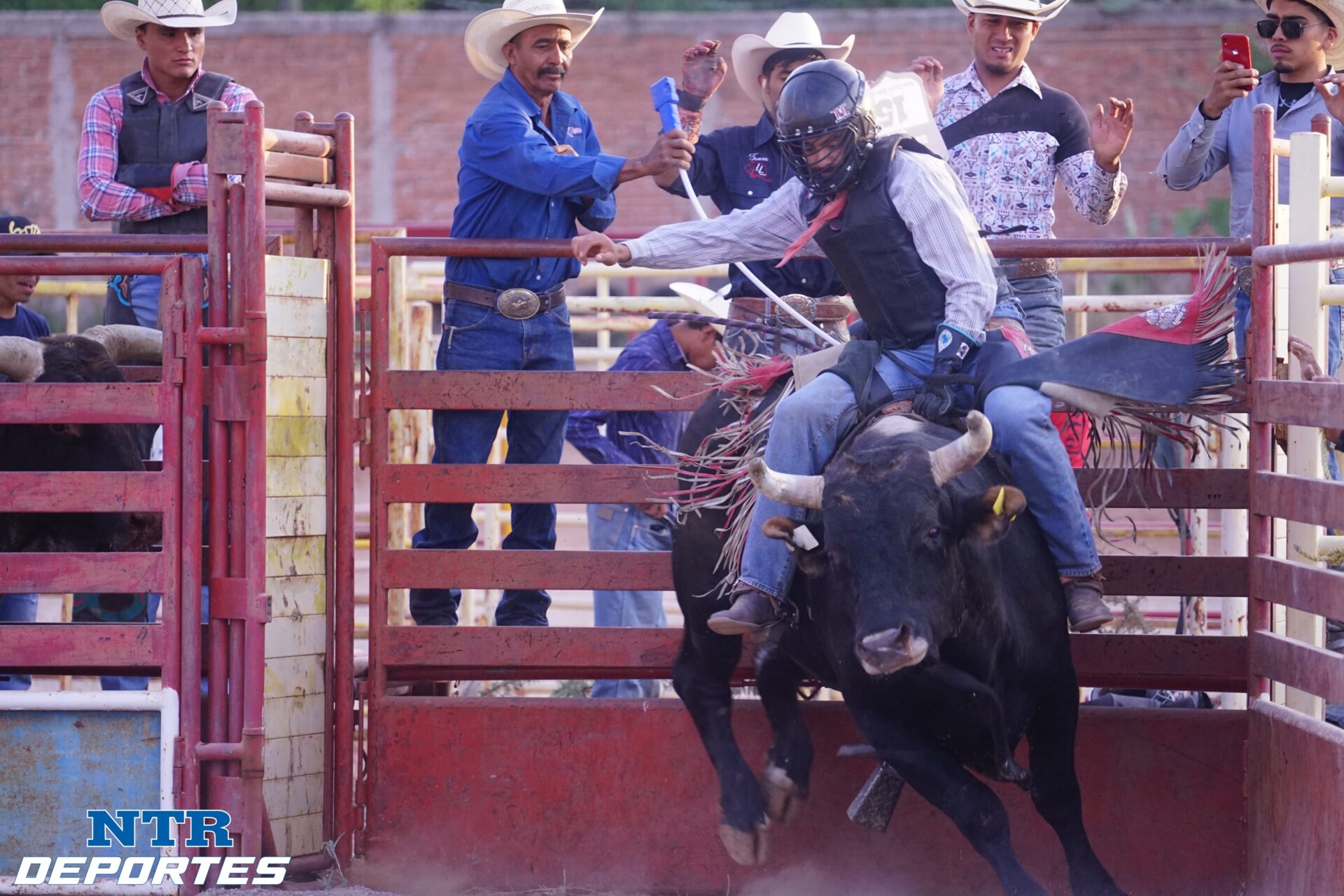 Celebrarán día del padre con rodeo - NTR Zacatecas