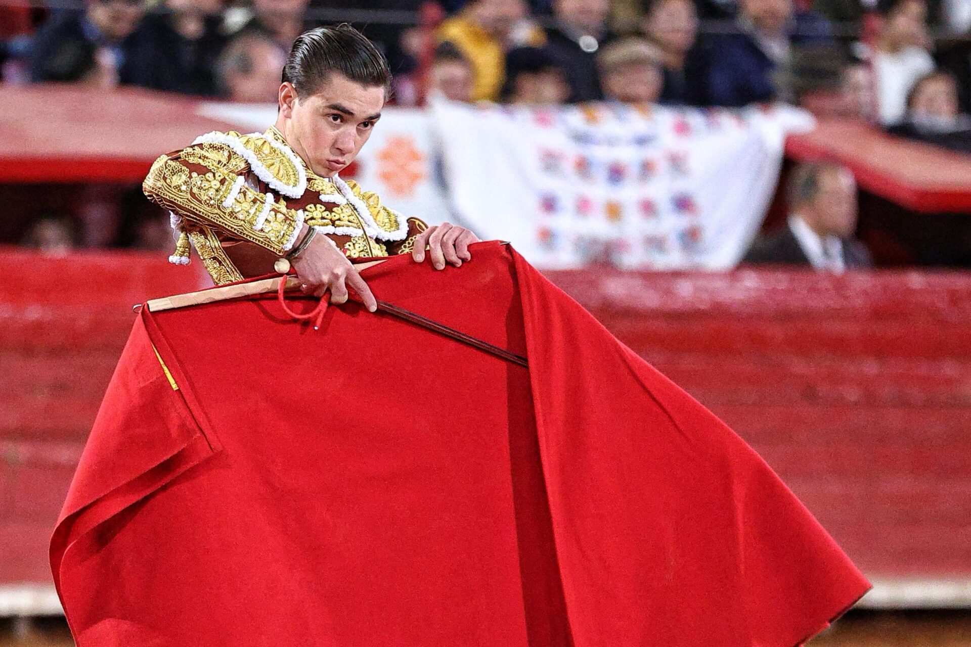 Bruno Aloi entra a la final de "Cénate Las Ventas" - NTR Zacatecas
