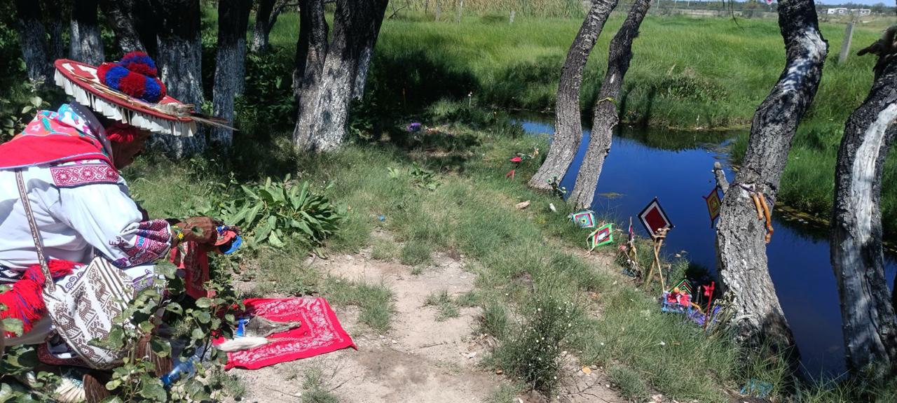 Declaratoria de ruta Wixárica, resultado de 3 décadas de esfuerzo - NTR ...