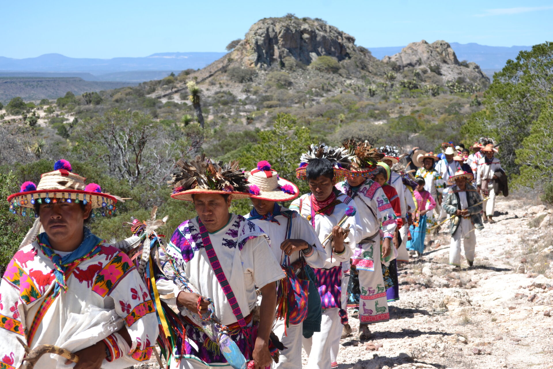 Ruta Wixárika ya es Patrimonio Mundial - NTR Zacatecas