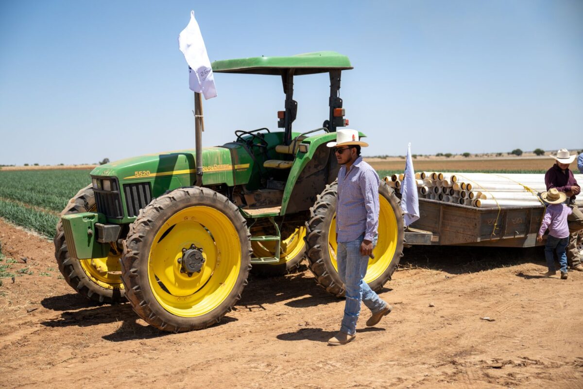 Sembrada, 20% de la tierra de temporal - NTR Zacatecas