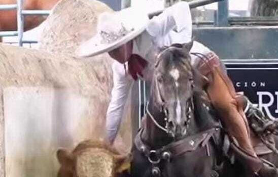 El Soyate alcanza el segundo lugar en torneo de Hidalgo - NTR Zacatecas