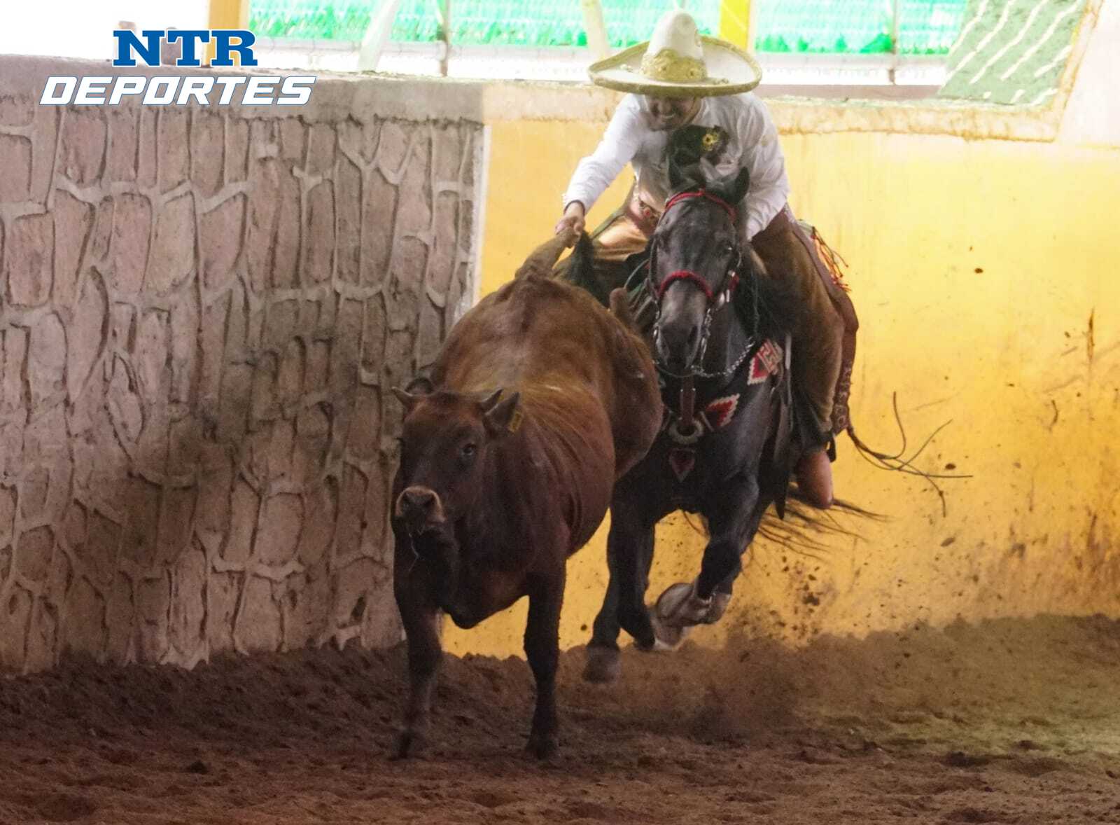 Jaral del Progreso toma la delantera en Jerez - NTR Zacatecas