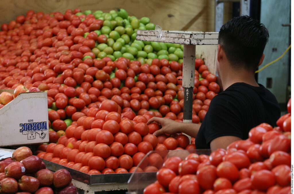 Celebran que Trump elimine arancel al tomate - NTR Zacatecas