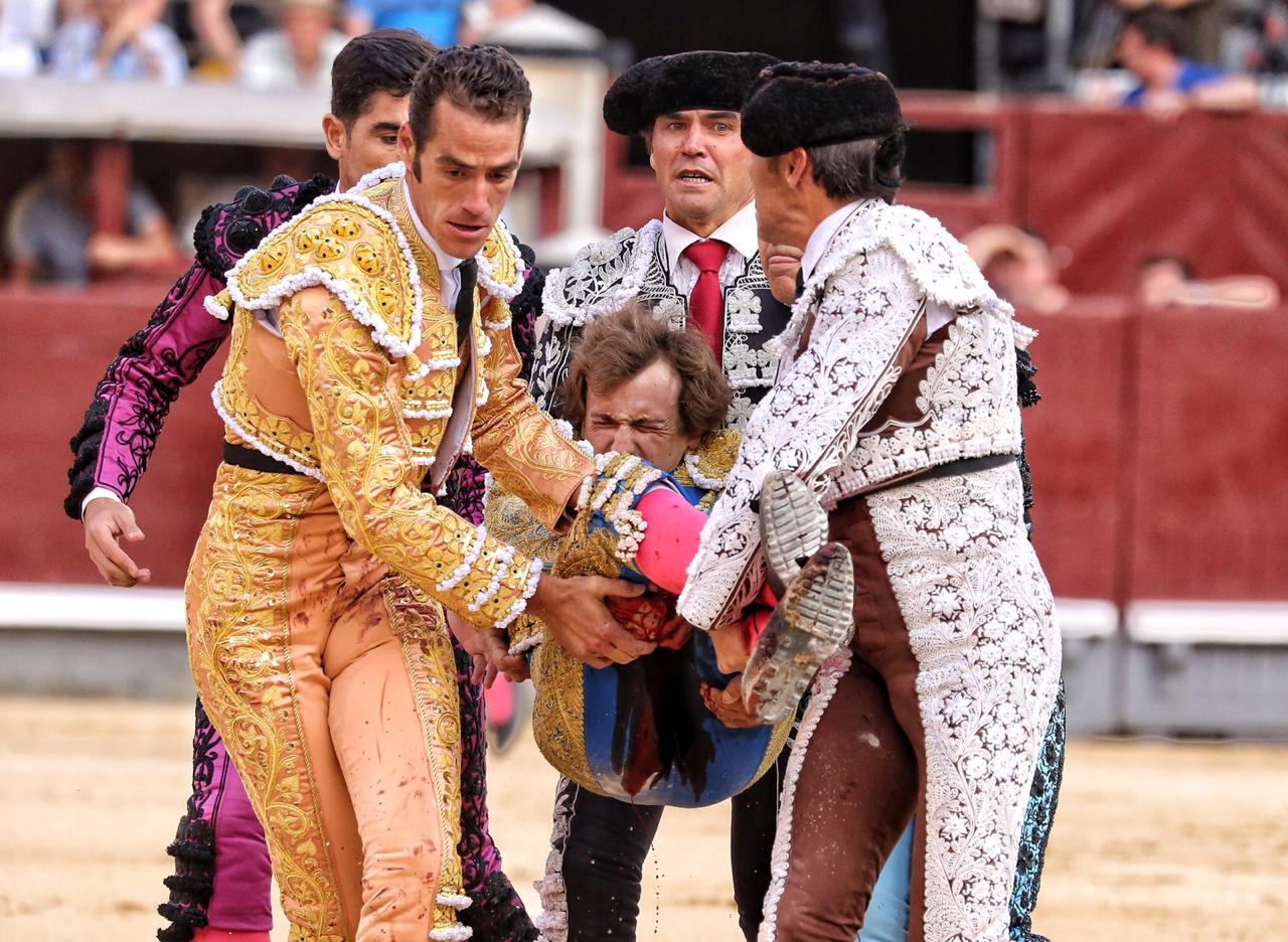 Román Collado cancela compromisos en México por lesión - NTR Zacatecas