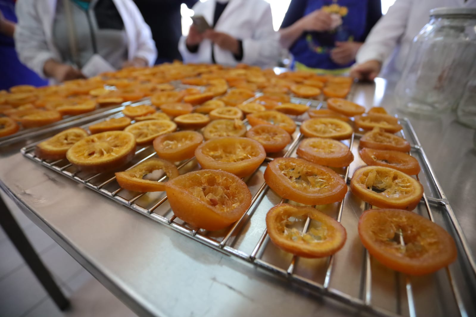 Impulsan industrialización de la naranja agria en Jerez - NTR Zacatecas