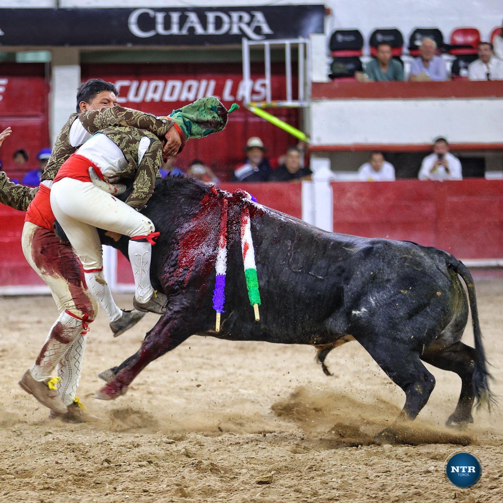 La Plaza Nuevo Progreso reafirma su papel histórico en la tradición de ...