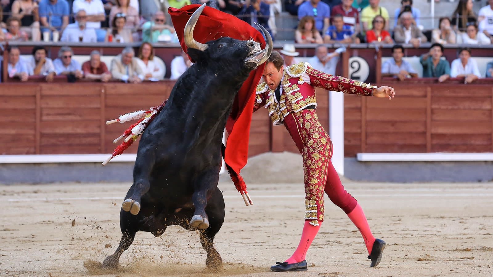 Román Collado con nuevo apoderado: - NTR Zacatecas