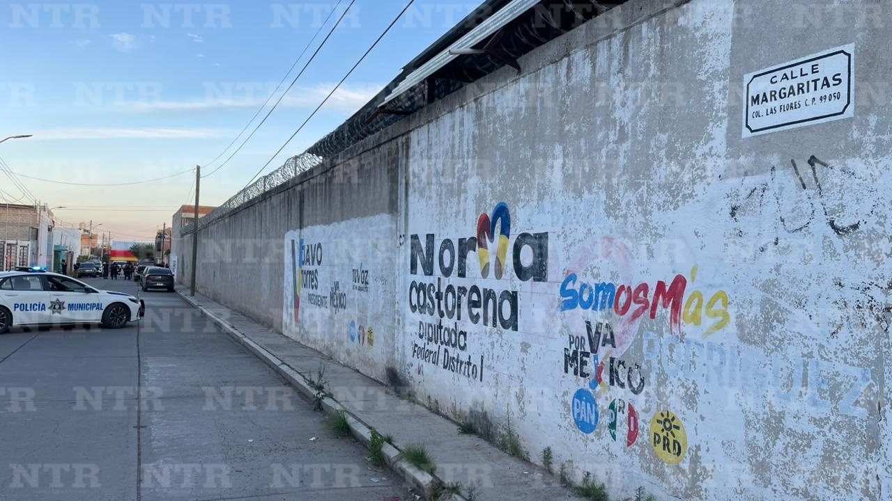 Detienen a cinco por robo de vehículos en Fresnillo - NTR Zacatecas