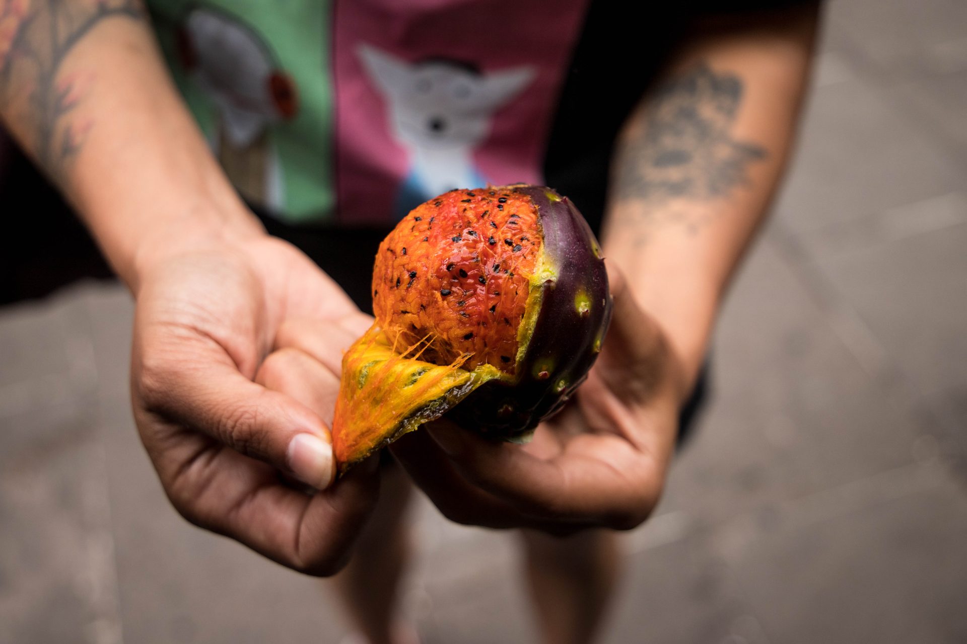 Invitan a festival de la pitaya 2026 - NTR Zacatecas